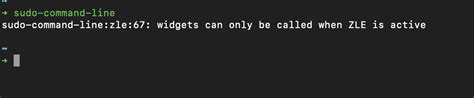 Zsh Sudo Plug In Not Working · Issue 11322 · Ohmyzshohmyzsh · Github