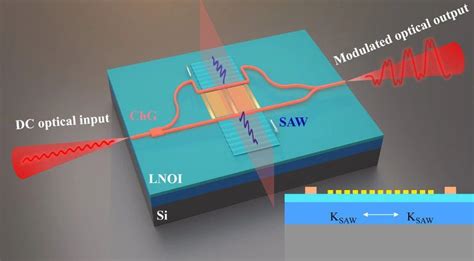 Wdm Otn Optical Modulation Mohamed Saeed
