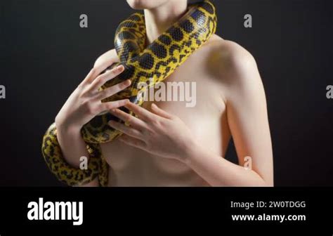 Video Of Nude Woman Holding Python On Black Background Stock Video Footage Alamy