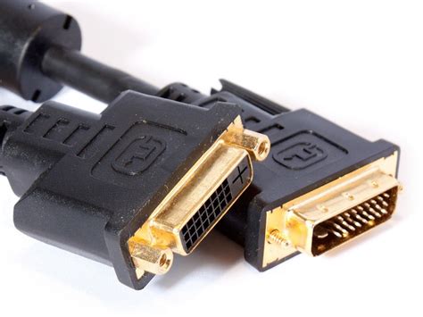 Dvi Male Female At Glenn Barbee Blog