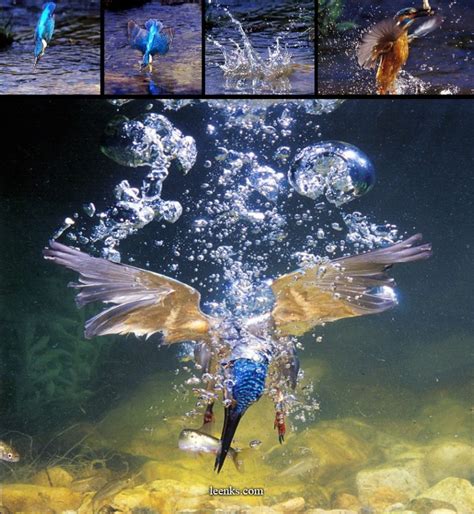 Random Pics Of The Week May 1 07