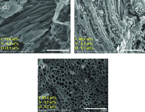 Sem Images And Elemental Compositions Of A Se B Cse And C Pcse