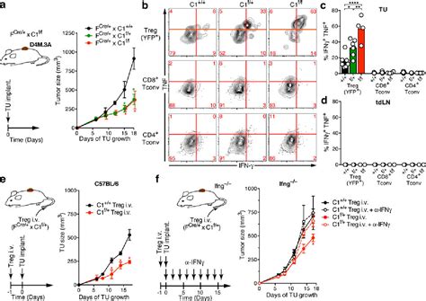 Figure 1 From Targeting The Cbm Complex Causes Treg Cells To Prime