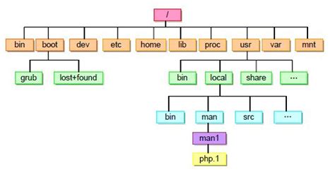 Linux操作系统基础知识 Csdn博客 Linux操作系统基础知识 Csdn博客