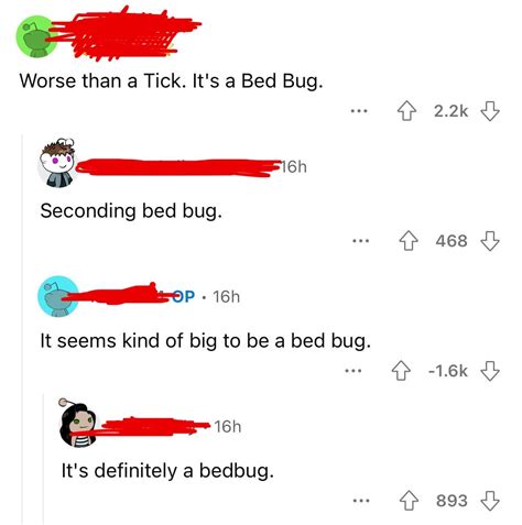 op asked what bug they found and made the mistake of questioning the