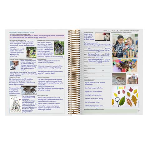 Critical Reflection Bundle For Eylf Butler Diaries