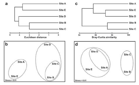 cluster analysis and multidimensional scaling mds ordinations for