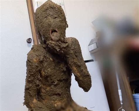 Full Covered In Shit