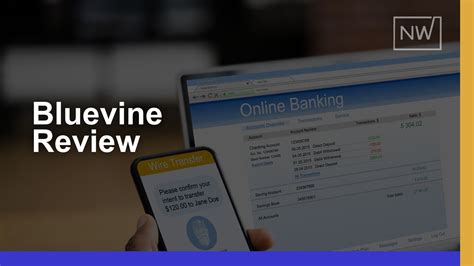 Bluevine Business Checking Review Fees And Features Compared Net Worth
