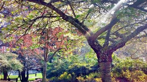 Formulating Assertions Pptx Formulating Assertions Pptx