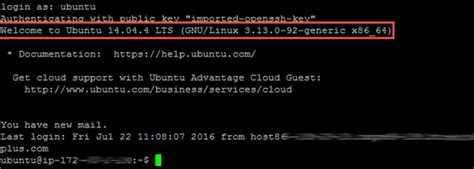 Upgrading Packages On Ubuntu From The Command Line Pat Howes Blog