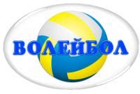 Купить Значок "Волейбол" - ZN26 - по низкой цене в интернет-магазине в ...
