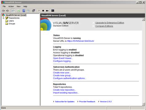 setting up personal source control server using visual svn server