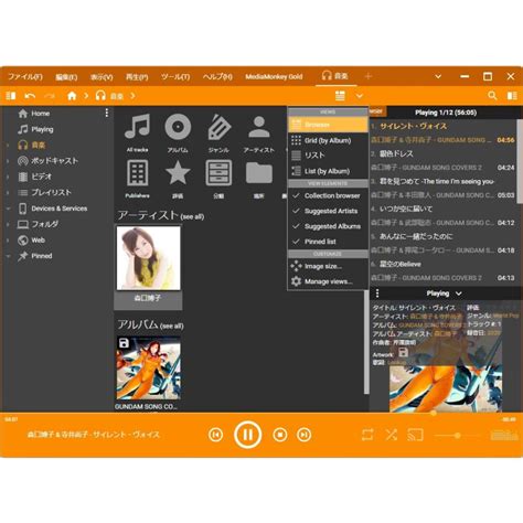 Mediamonkey Gold 2024 ダウンロード版 高機能なライブラリを備えたオールインワン型の音楽プレイヤーソフト