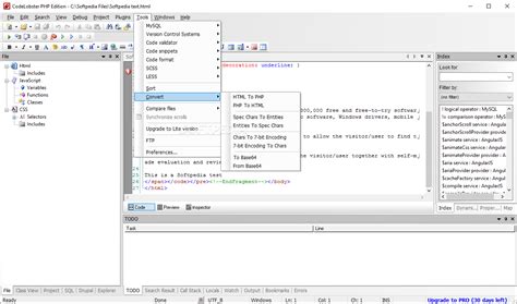 CodeLobster PHP Edition Download Softpedia