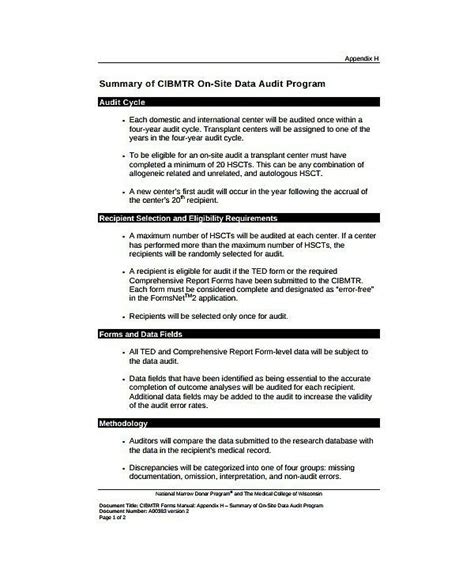 Data Center Audit Report Template 2