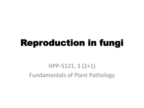 Sexual Reproduction In Fungi Pptx