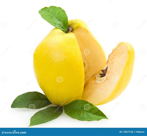 Coing Photo Stock Image Du Jaune Coupure Légume Isolement 17857156