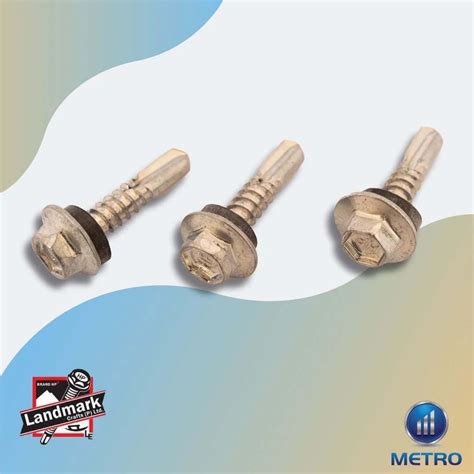 Stainless Steel Hp Sds Screw Polished Diameter 10 Mm At Best Price