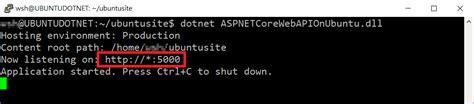 Linux Ubuntu 作業系統執行 ASP NET Core WebAPI 應用程式