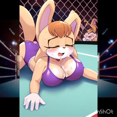 Vanilla Vs Rouge Sexfight By Condorenox7 Eporner