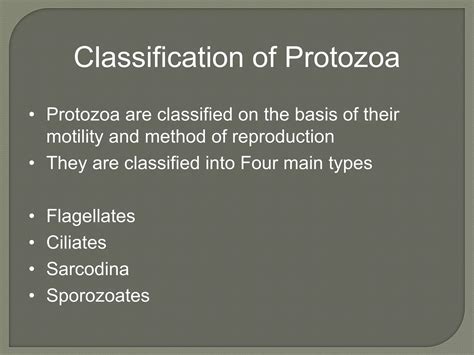 Morphology Of Protozoa Pptx