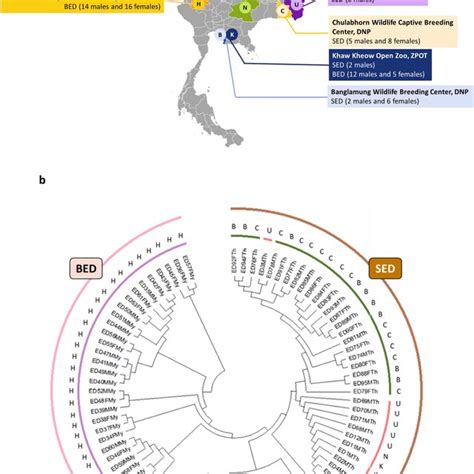 Sample Collection Site And Phylogenetic Relationship Of 84 Elds Deer
