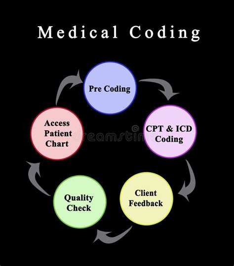 Components Of Medical Coding Stock Illustration Illustration Of