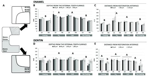 Enamel And Dentin Microhardness Khn A Schematics Of Download