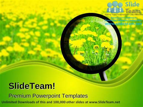 Pdf Exploring Spring Nature Power Point Themes Templates And Slides Ppt Designs Dokumen Tips