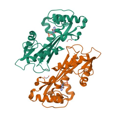 Rcsb Pdb 2pyu Structure Of The E Coli Inosine Triphosphate Pyrophosphatase Rgdb In Complex