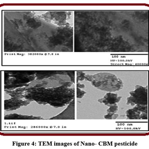 Synthesis Characterization And Bioassay Of Nanocarbendazim An