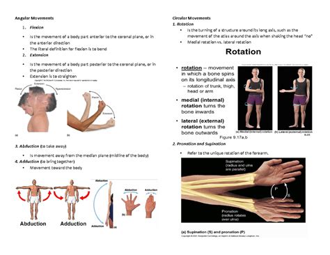 Angular Movements Angular Movements Flexion Is The Movement Of A Body Part Anterior To The