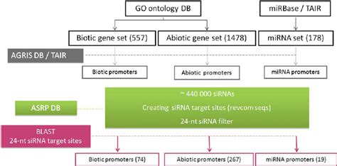 Flowchart For Identi Fi Cation Of 24nt Sirna Target Sites In The Main Download Scientific