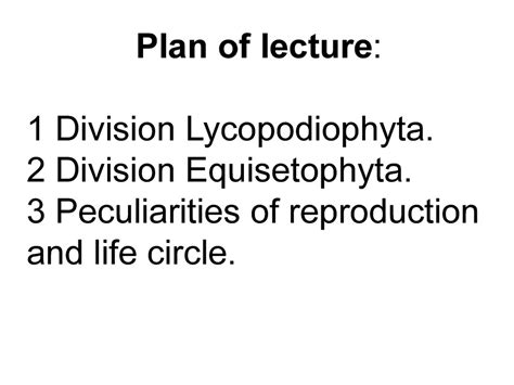 Division Lycopodiophyta And Equisetophyta презентация онлайн