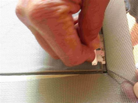 DYI Window Re Screen Tutorial SweetwaterStyle