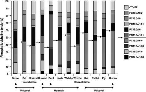 Comparison Of Molecular Phosphatidylcholine Pc Composition For Each Download Scientific