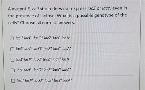 Solved A Mutant E Coli Strain Does Not Express LacZ Or Chegg