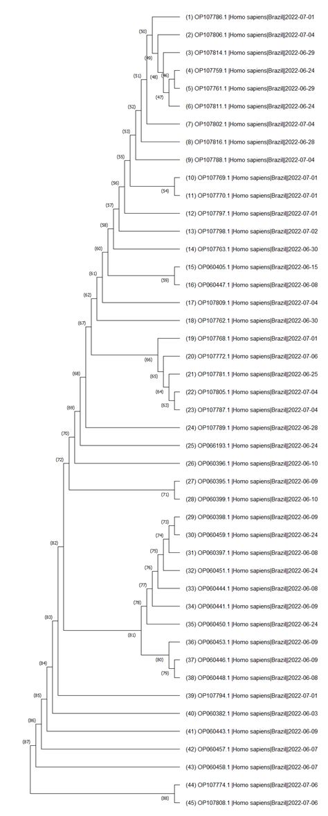 Evolutionary Analysis By Maximum Likelihood Method The Evolutionary