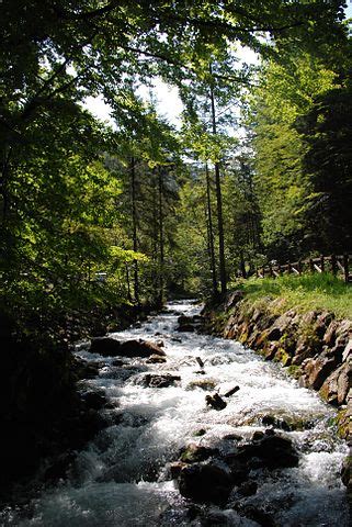 Difference Between Stream And Creek