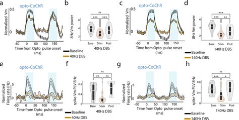 Dbs Reduces A Neurons Ability To Respond To Somatic Membrane Download Scientific Diagram