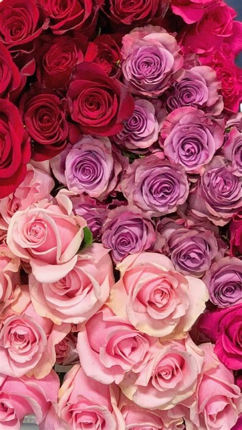 Фон Фотофон Обои Подложка Иллюстрация Картинка Сторис Телефон Эстетика Творчество Красота