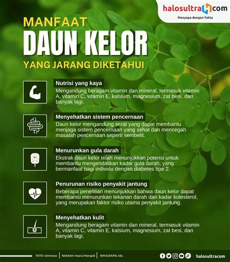 Manfaat Daun Kelor Yang Jarang Diketahui