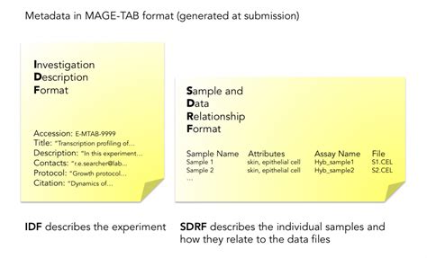 Metadata Is Stored In Mage Tab Format Arrayexpress