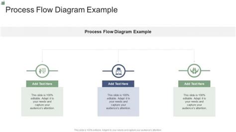 Process Flow Diagram Example PowerPoint Presentation And Slides SlideTeam