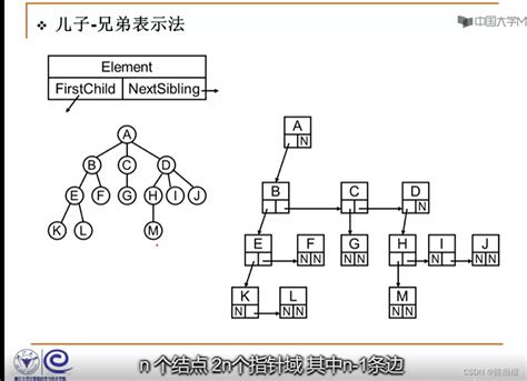 二叉树的引入 儿子兄弟表示法 Csdn博客