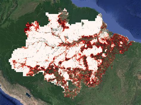 Pachama Research Brief A Description And Initial Validation Of A Dynamic Baseline For Avoided