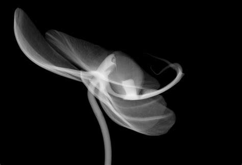 Accounting For Digital Currencies Challenges And Opportunities Neliti