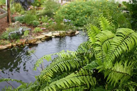 Exploring The Amazon Rainforest Uncontacted Tribes 🌿 Puerto Maldonado