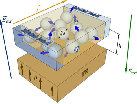 Sketch Of Composite Multiferroic System Consisting Of A Granular Download Scientific Diagram
